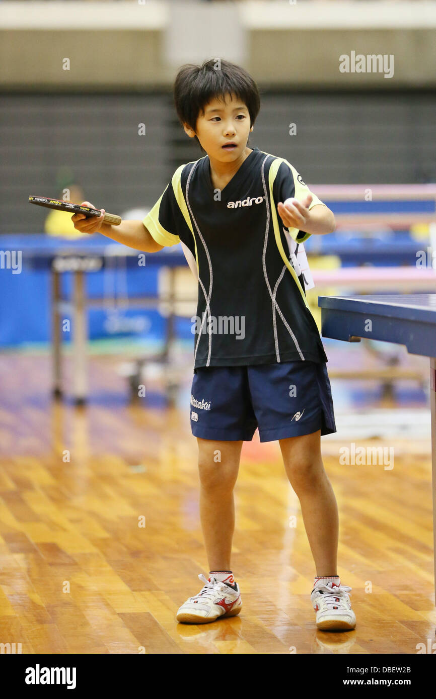 Hyogo, Japan. 28th July 2013. Table Tennis : All Japan Table Tennis ...