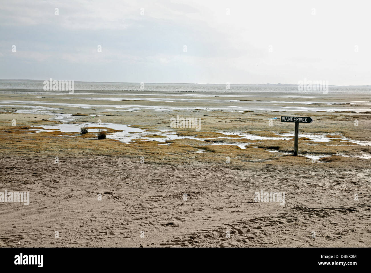 Wadden sea conservation area hi-res stock photography and images - Alamy