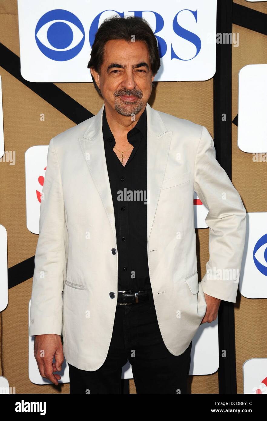 Los Angeles, CA. 29th July, 2013. Joe Mantegna in attendance for TCA ...