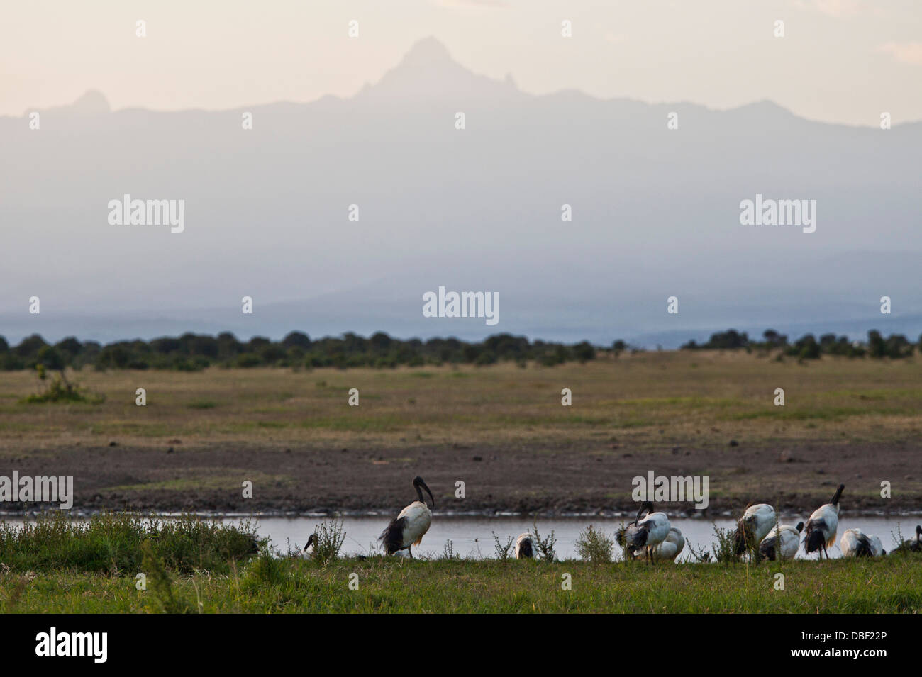 Views of Mount Kenya. Kenya Stock Photo - Alamy