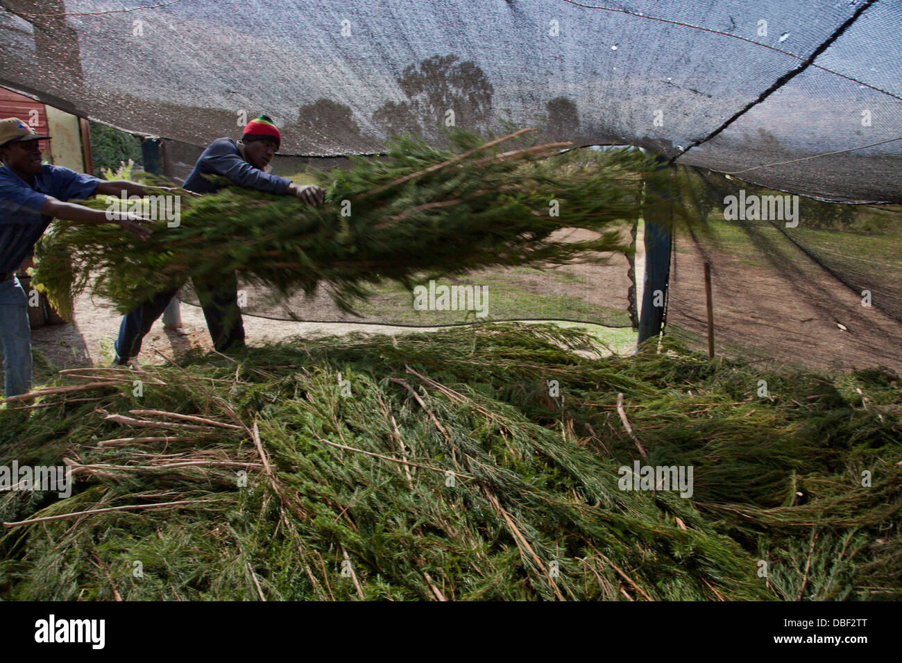 Oil for export hi-res stock photography and images - Alamy