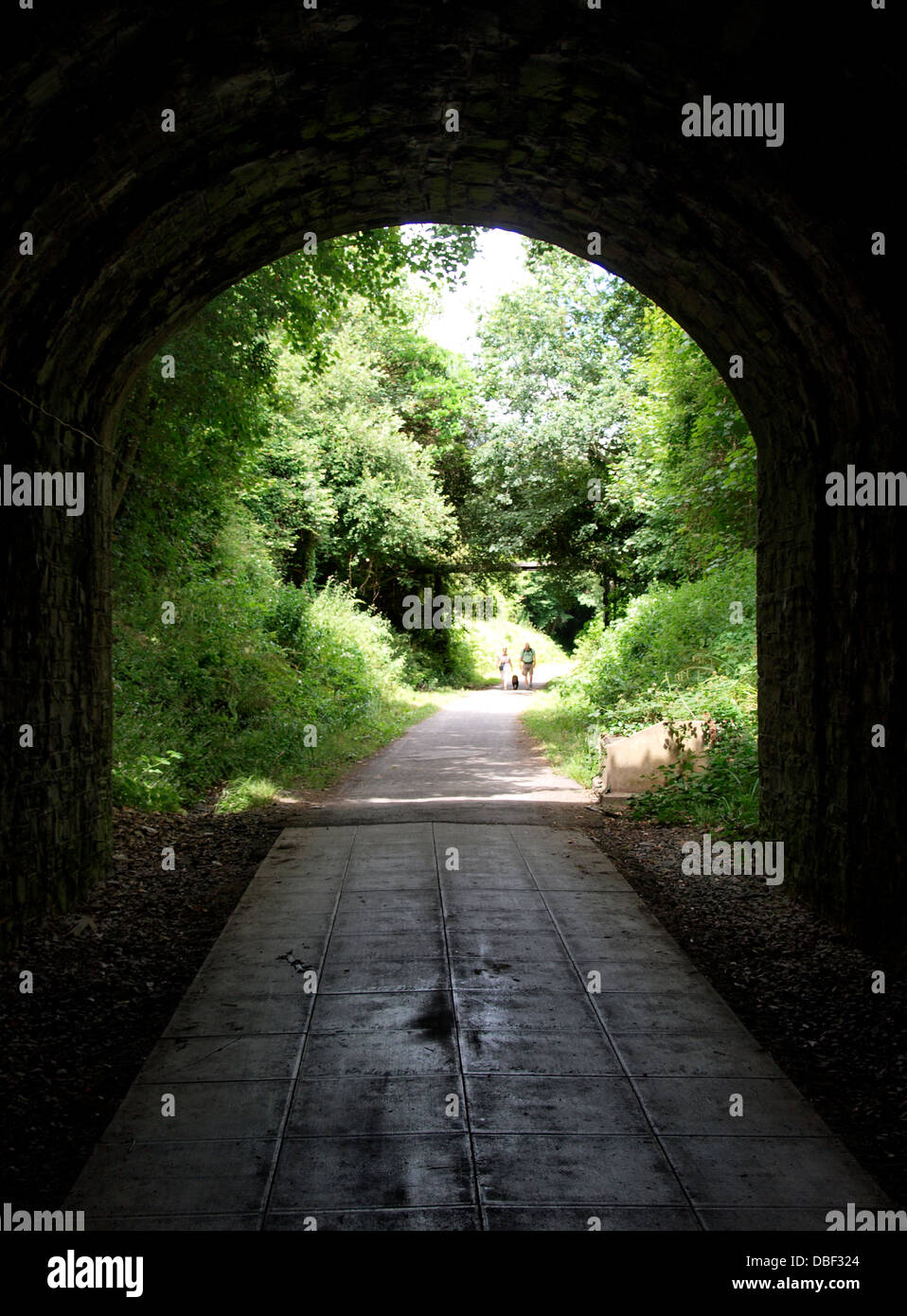 Tunnel along the Tarka Trail cycle path, Instow, Devon, UK 2013 Stock ...