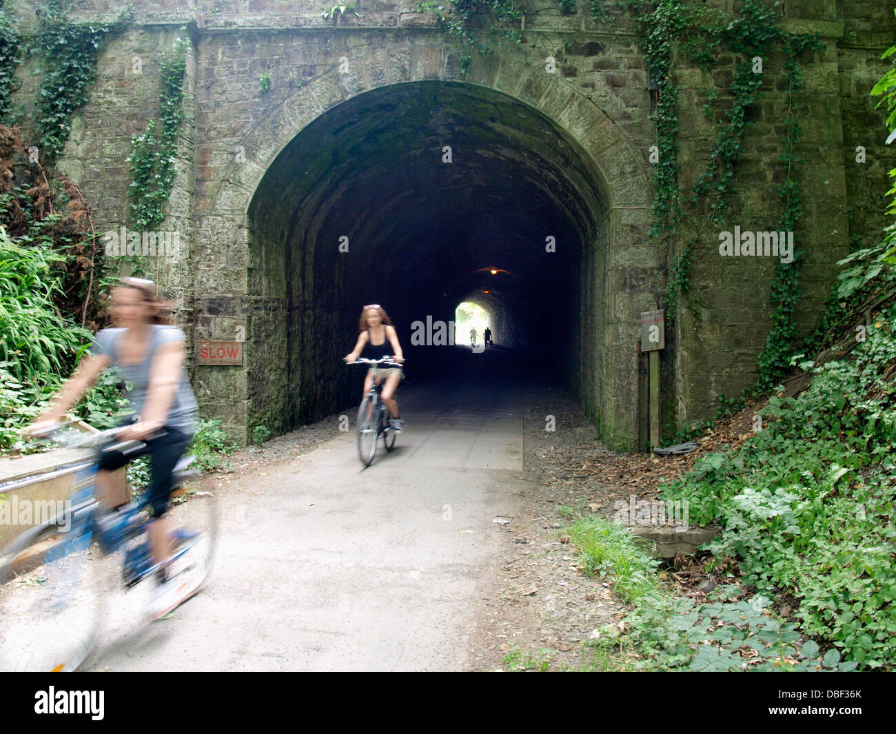 Cyclists riding through a tunnel on the Tarka Trail cycle path, Instow ...