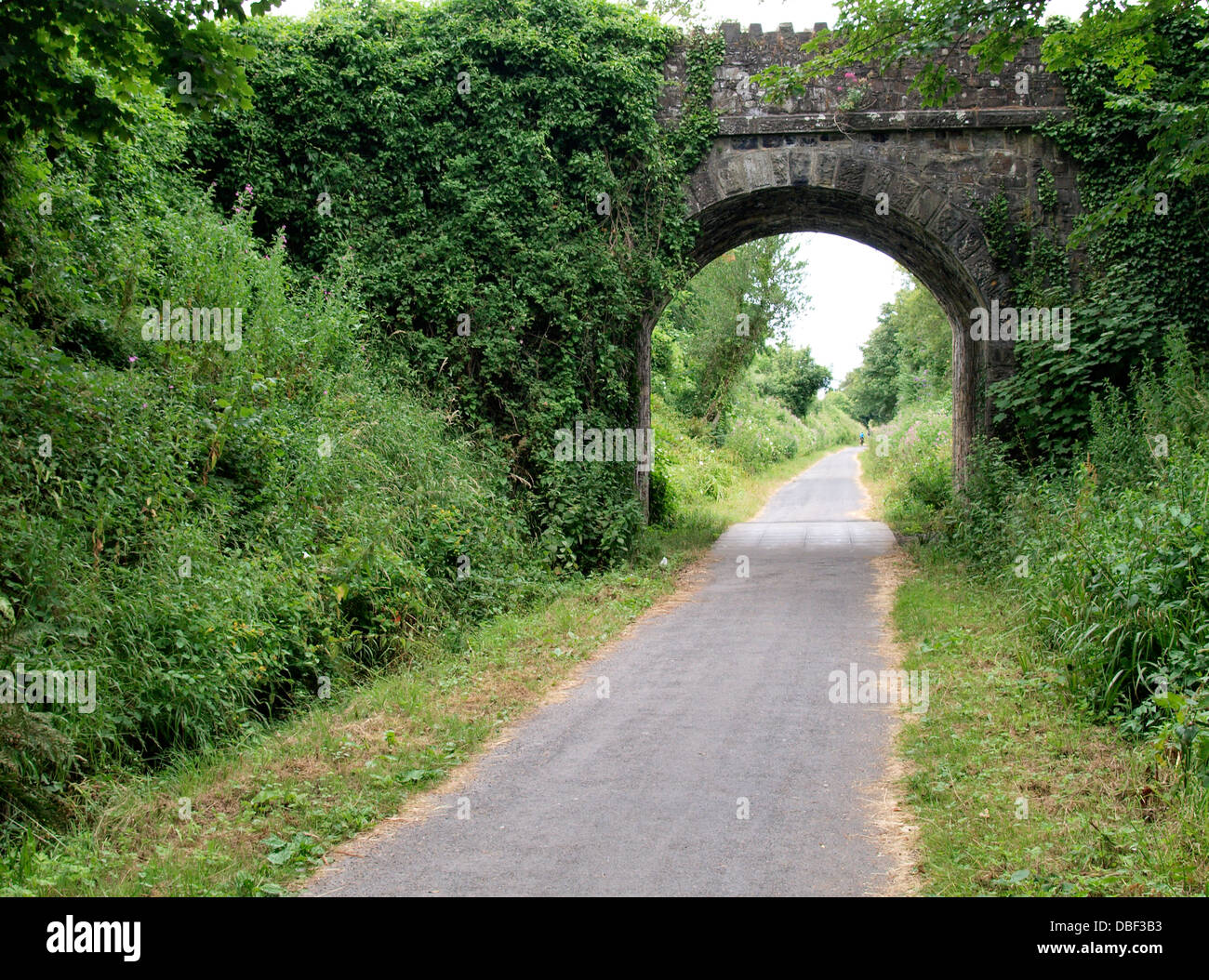 Tarka Trail cycle path, Instow, Devon, UK 2013 Stock Photo - Alamy