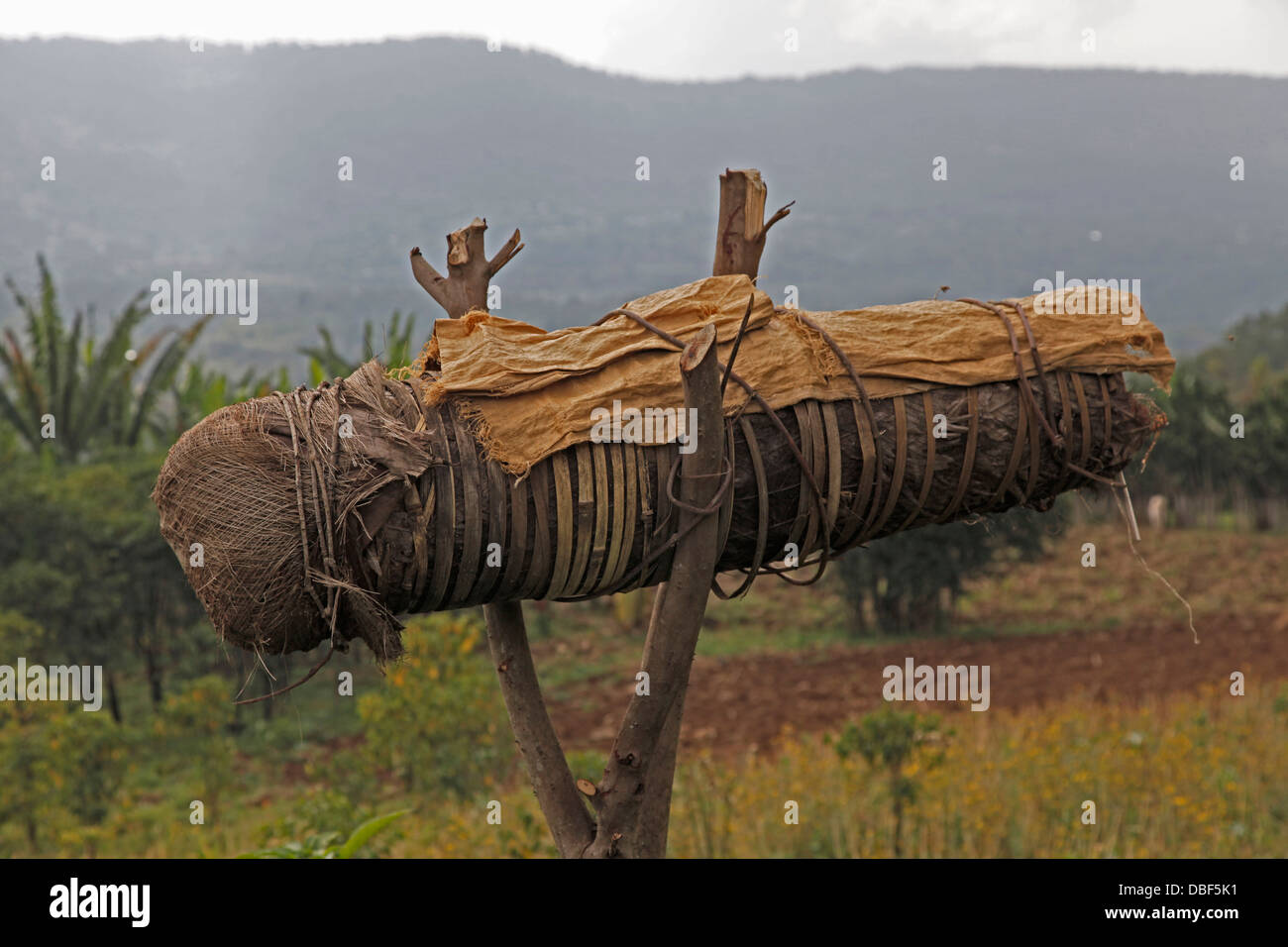 Honey production at a co-operative in the western region of Ethiopia ...