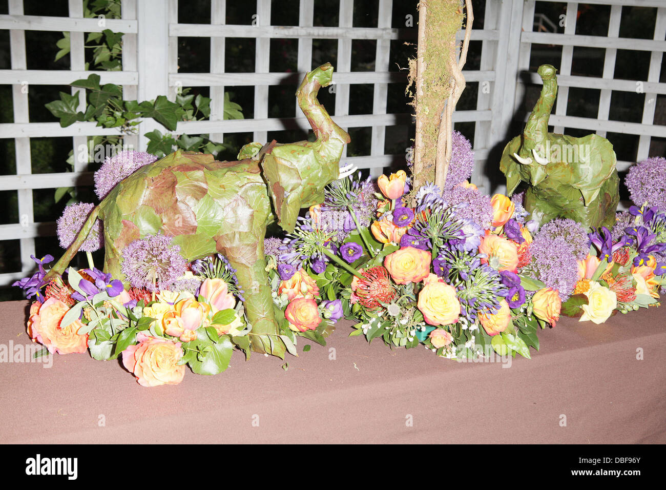 WCS, Atmostphere The Annual Wildlife Conservation Society Spring Gala ...