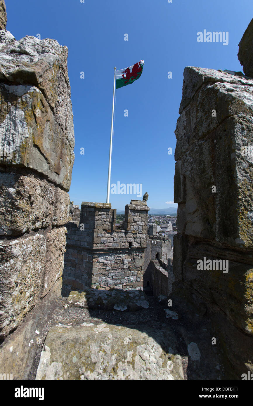Town of Caernarfon, Wales. Picturesque view of the Welsh national flag ...