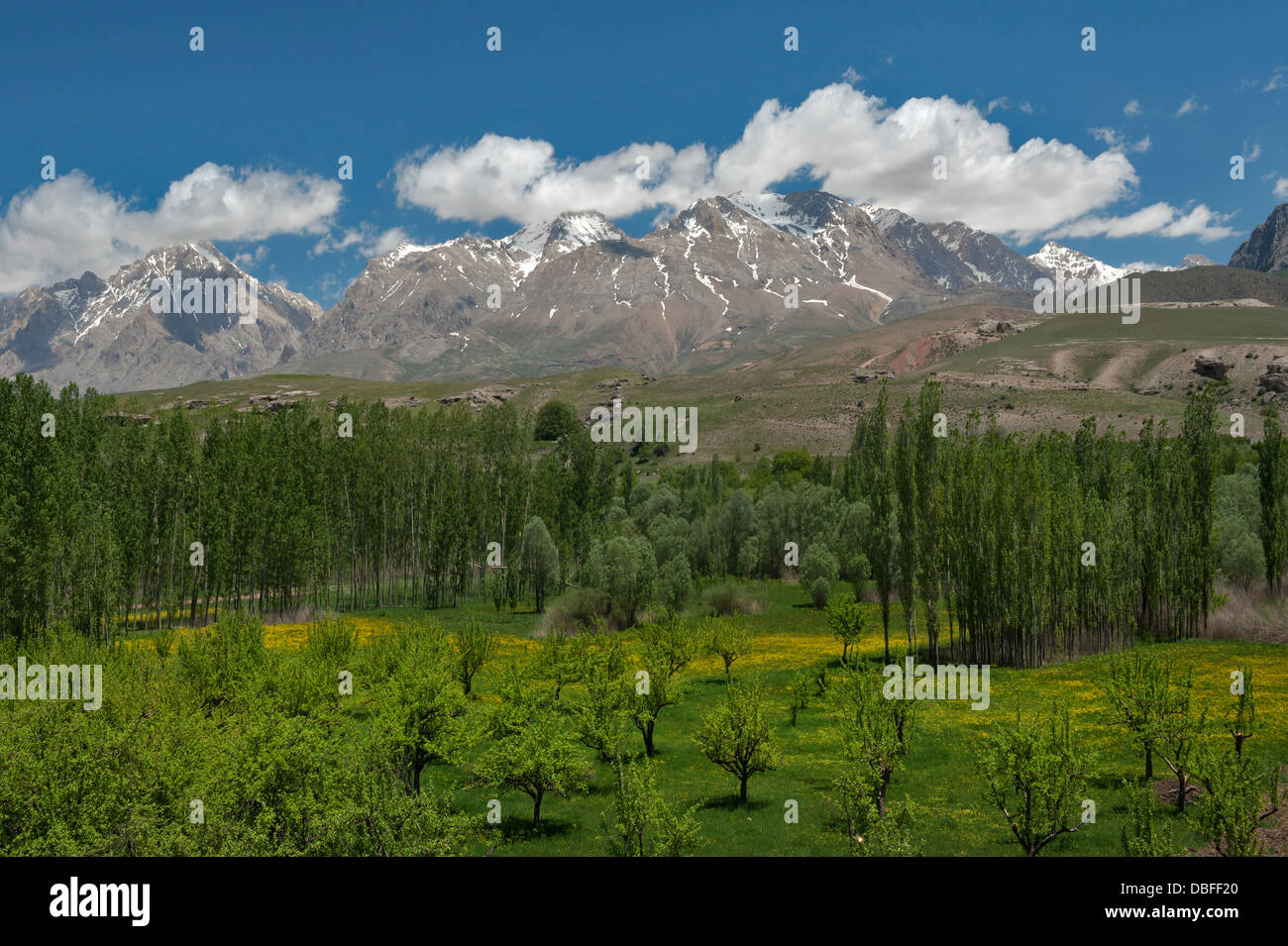 Scenic view of Aladağlar and orchards, Adana Turkey Stock Photo - Alamy