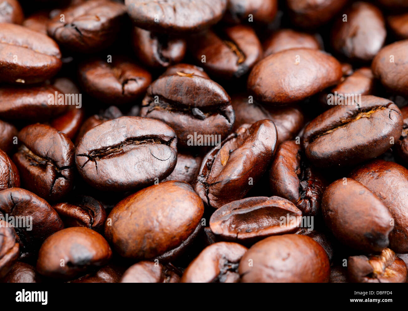 coffee bean close up Stock Photo - Alamy