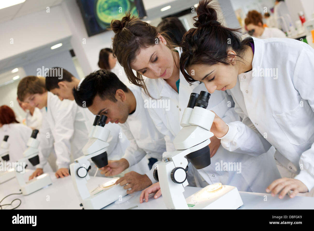 Young students in laboratory using microscopes hi-res stock photography ...