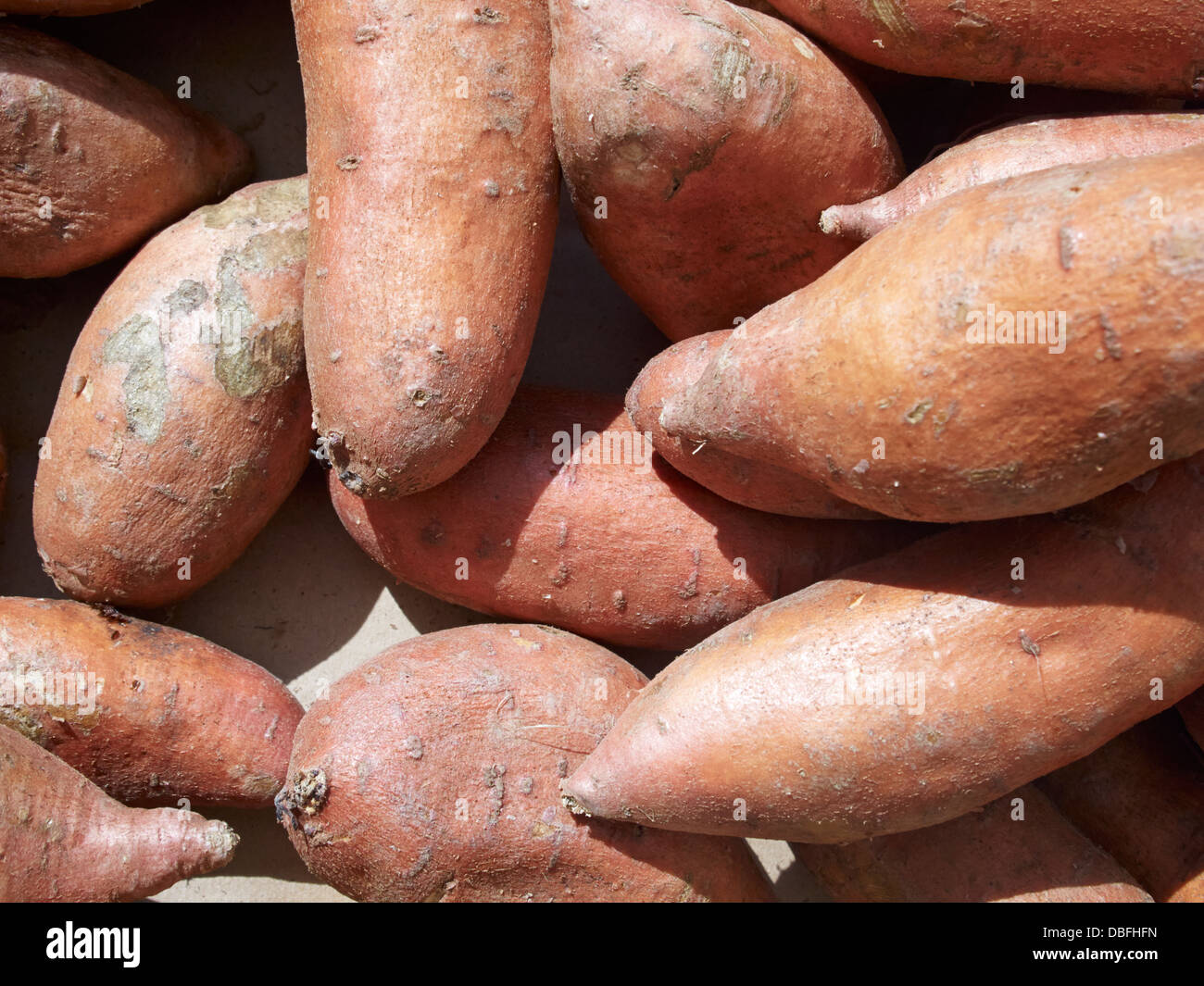 Sweet potato farming hi-res stock photography and images - Alamy