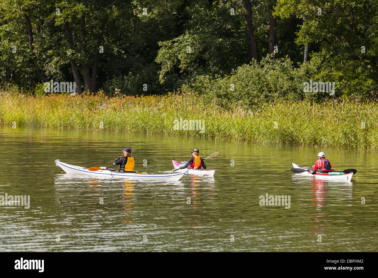Three people paddling on the Baltic Sea Stock Photo - Alamy
