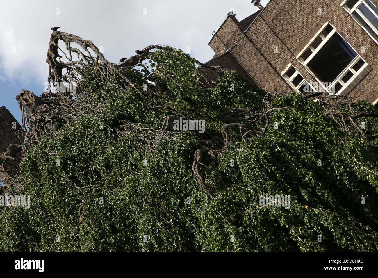 Canopy front building hi-res stock photography and images - Alamy