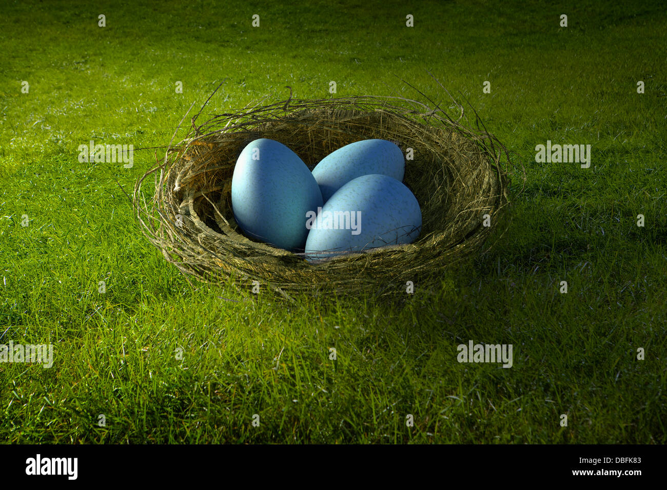 Blue eggs in bird's nest Stock Photo - Alamy
