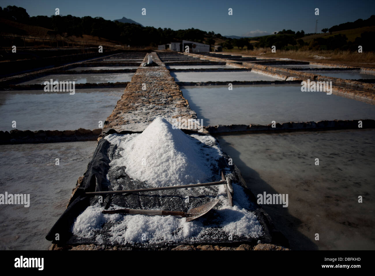 A pile of salt, a wooden hand rake and a shovel at the Salinas de ...