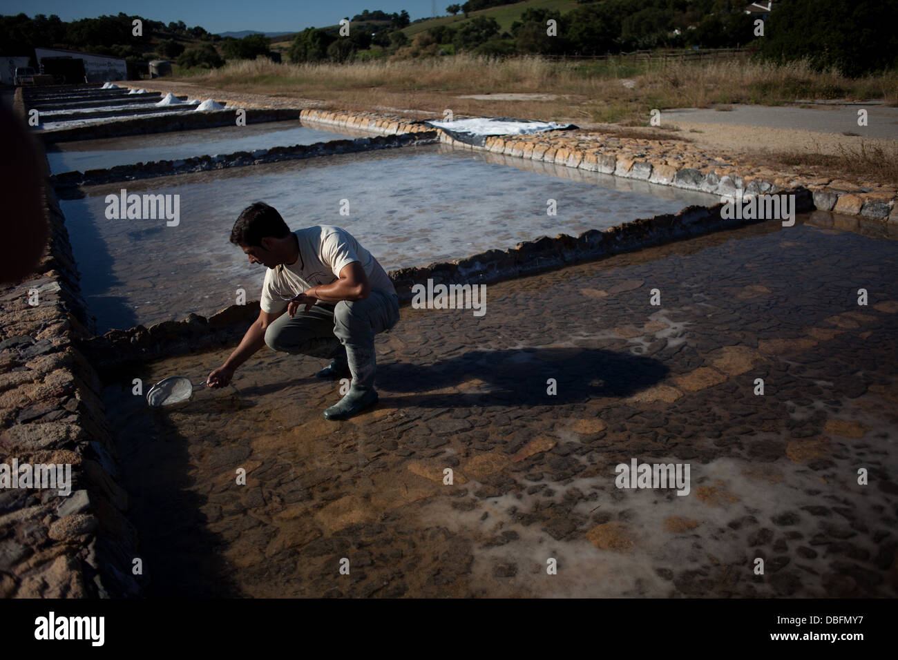 A worker collects flower of salt using a strainer at the Salinas de ...