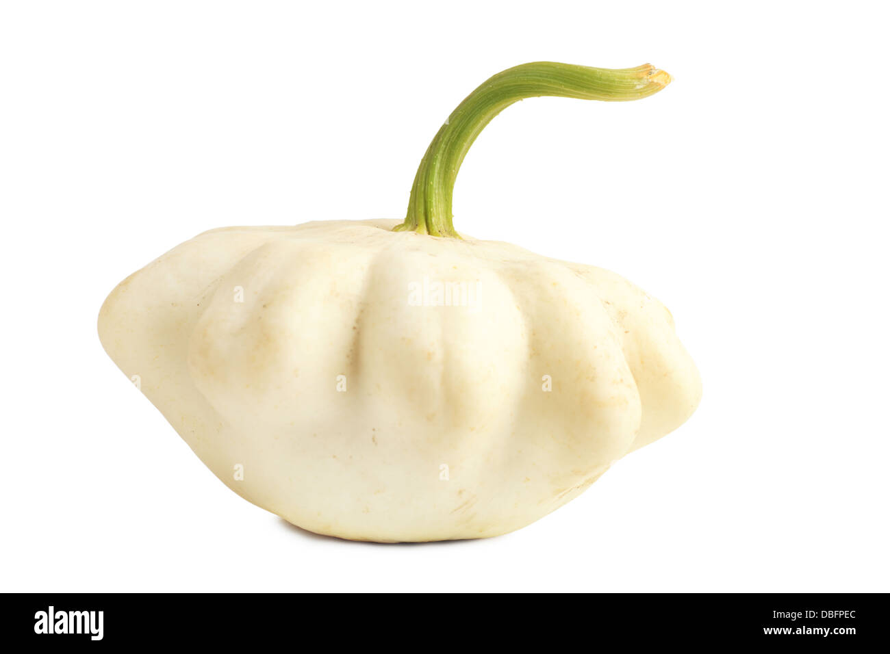 Marrow squash and pumpkin hi-res stock photography and images - Alamy