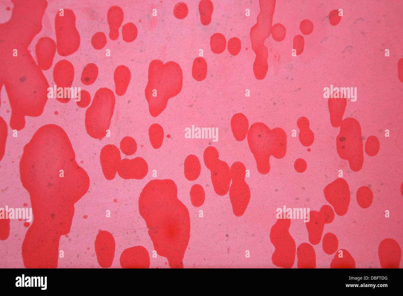 car lacquering with water drops Stock Photo - Alamy