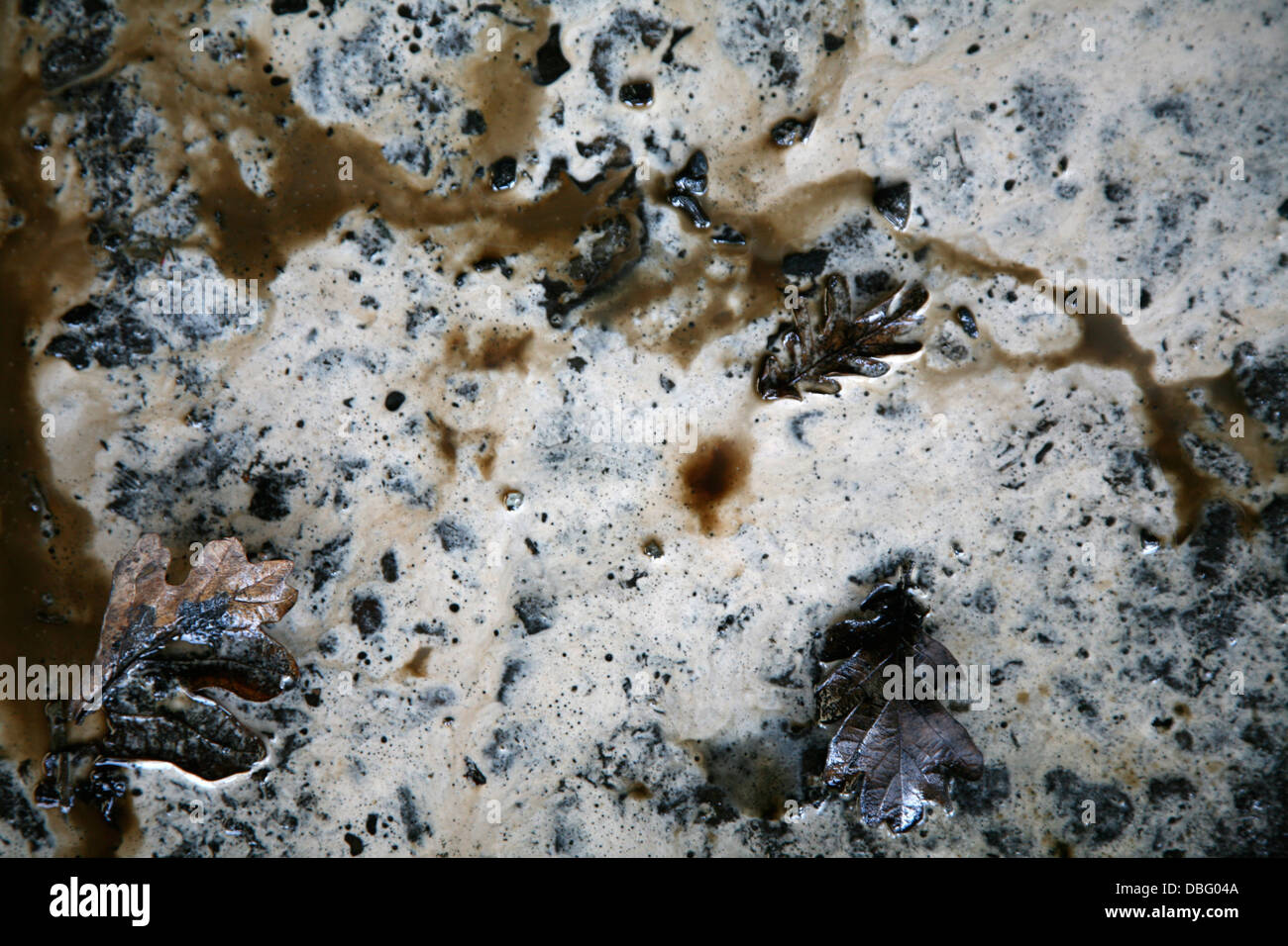 Puddle of oil on the ground Stock Photo - Alamy