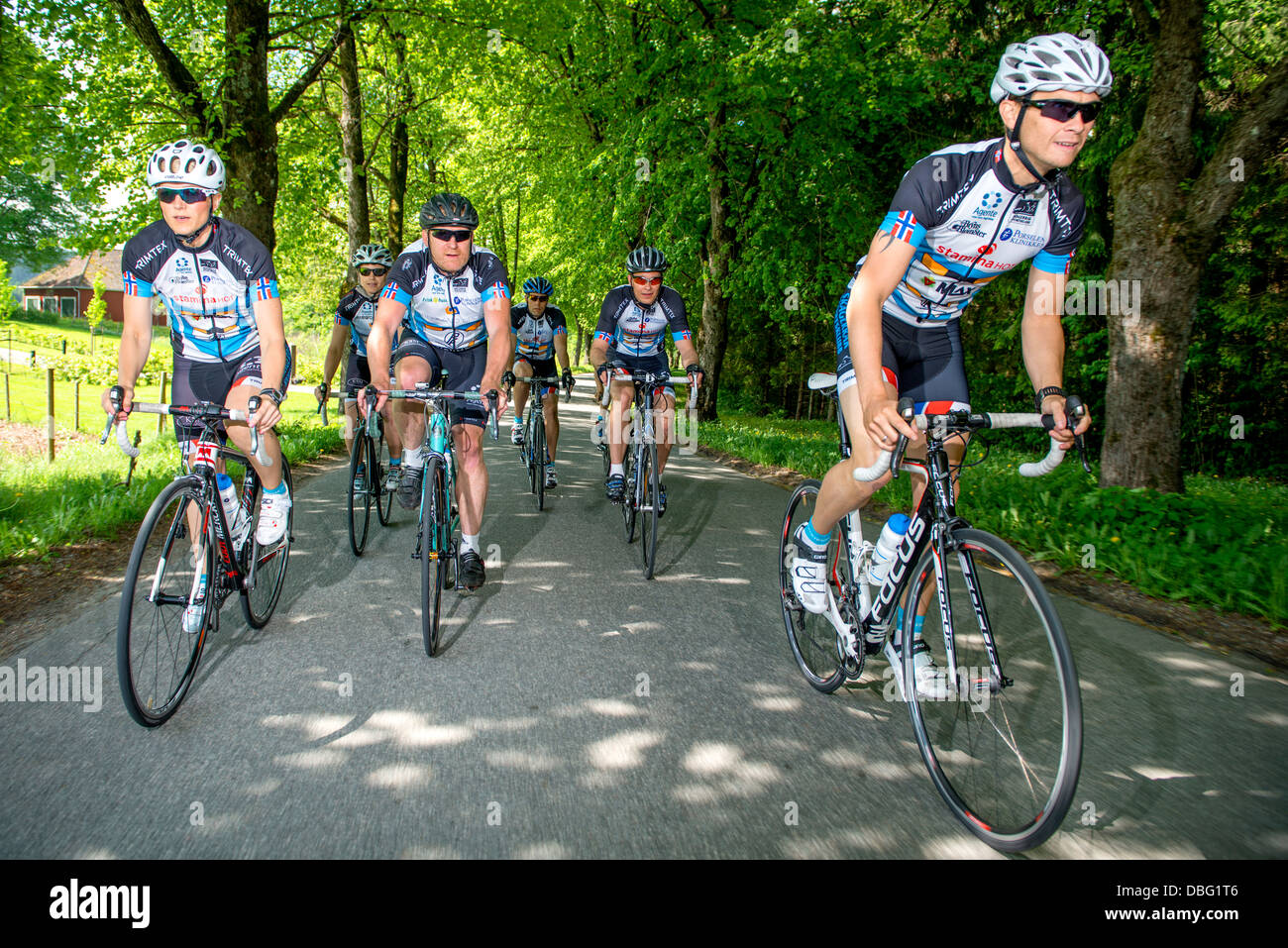 A team of cyclists training on the road Stock Photo - Alamy