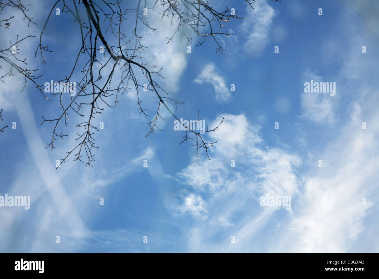 looking up into the sky Stock Photo - Alamy