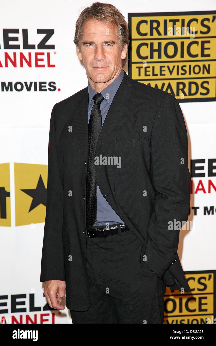 Scott Bakula at the Critics' Choice Television Awards Luncheon at the ...