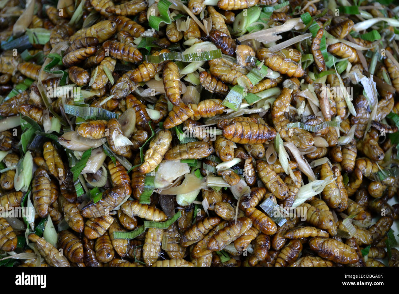 Farmed food hi-res stock photography and images - Alamy