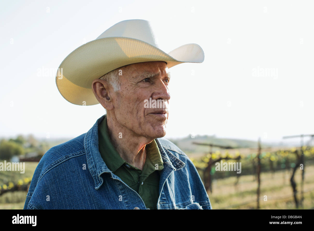 Hispanic farmer standing in vineyard Stock Photo - Alamy