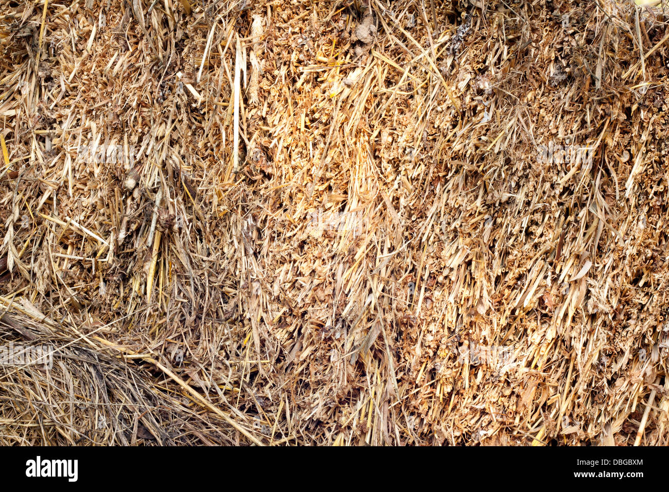 Hay bale background hi-res stock photography and images - Alamy