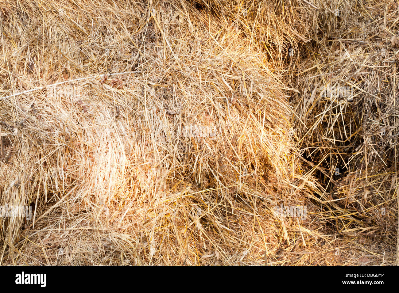 Hay bale background texture closeup Stock Photo - Alamy