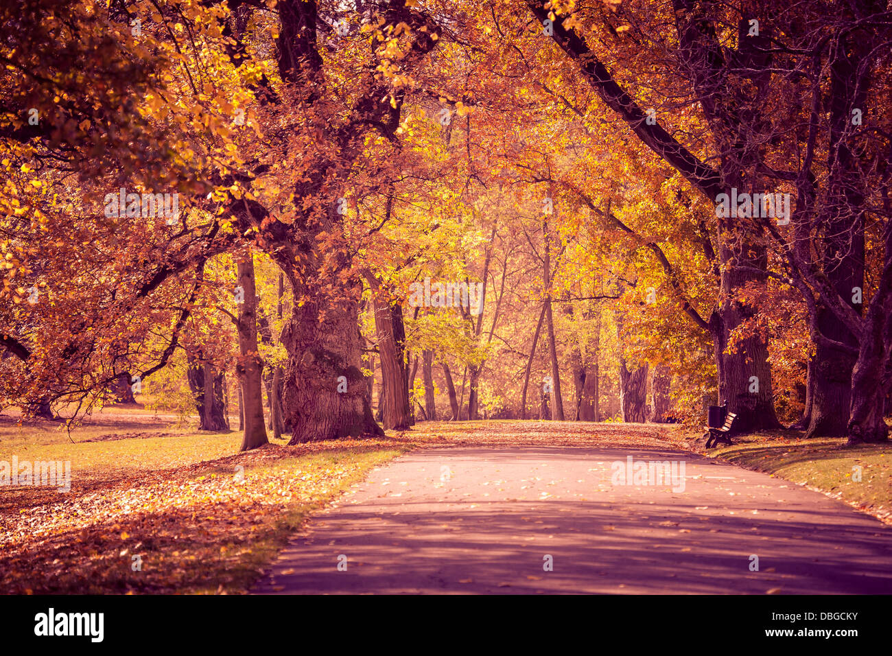 Old park in fall. Germany, Europe Stock Photo - Alamy