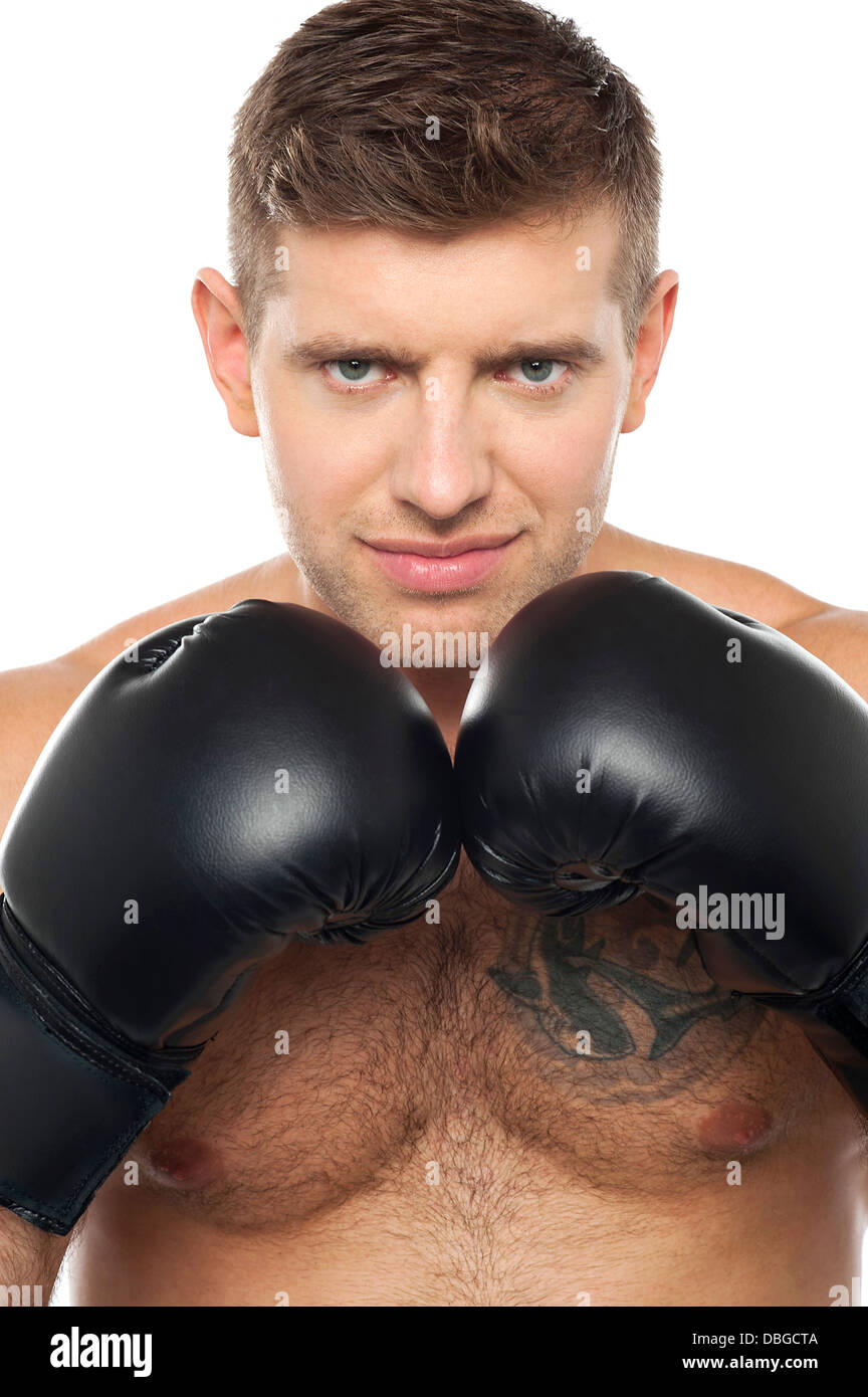 Close up picture of young caucasian boxer Stock Photo - Alamy