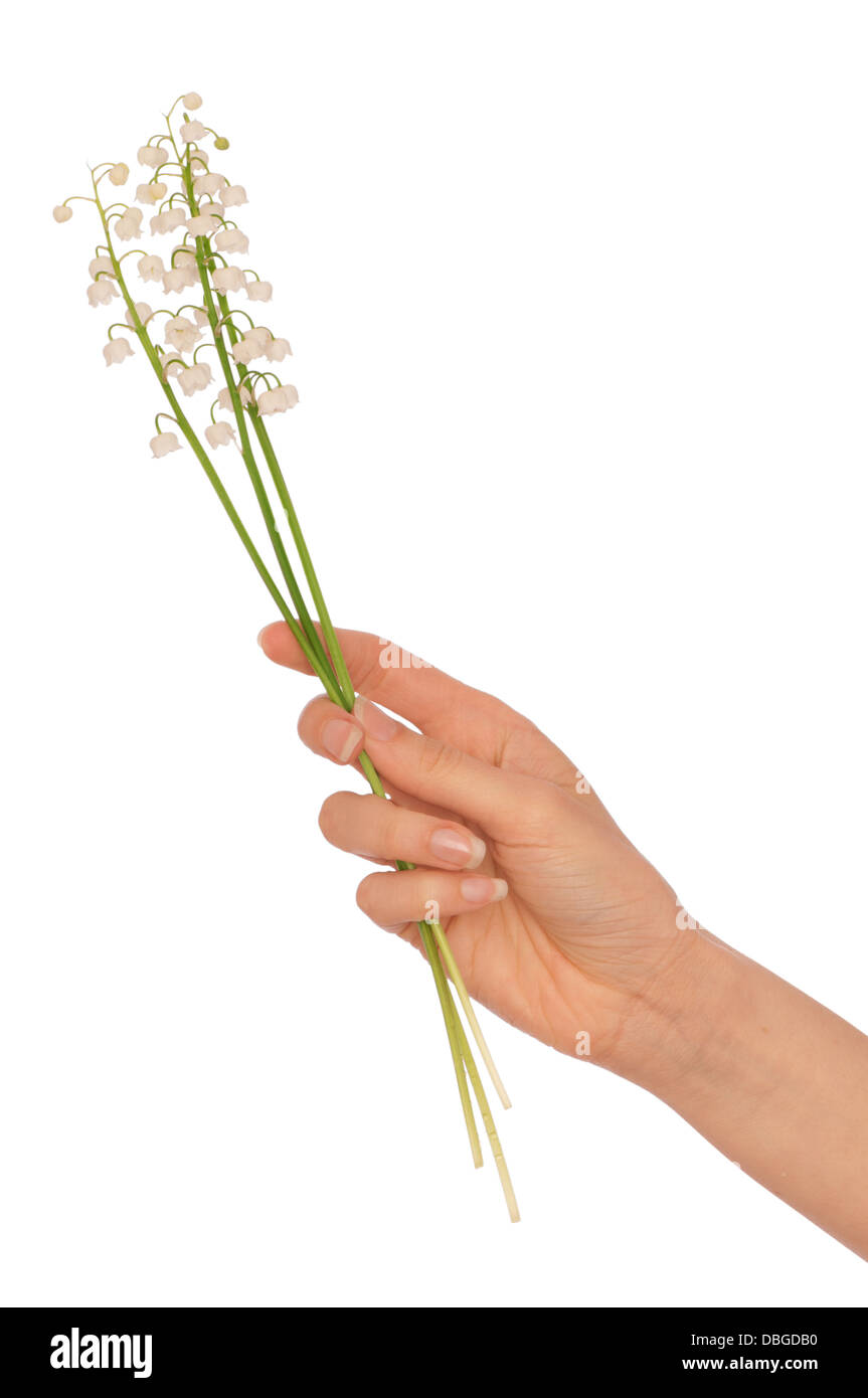 Green grass valley Cut Out Stock Images & Pictures - Alamy