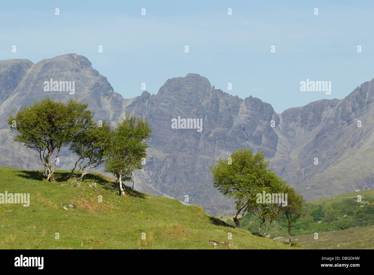 Cullins and Birch Trees from Elgol Road Isle of Skye, Inner Hebrides ...