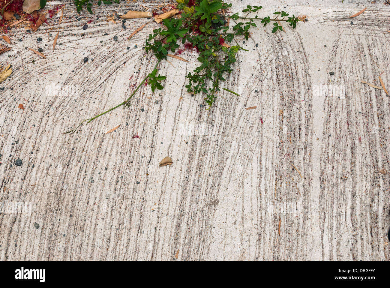 Ground background hi-res stock photography and images - Alamy