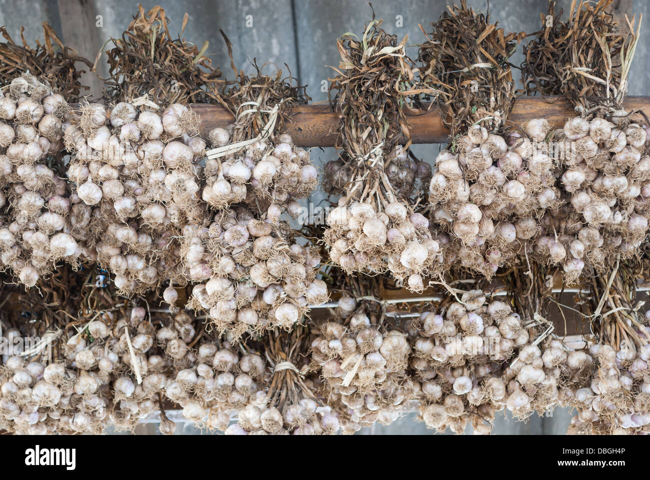 Bunch of Garlic Hanging on Beam Stock Photo - Alamy