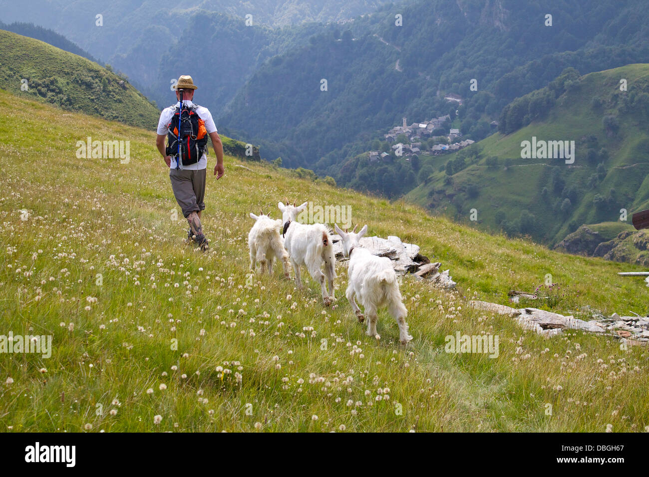 Goat shepherd hi-res stock photography and images - Alamy
