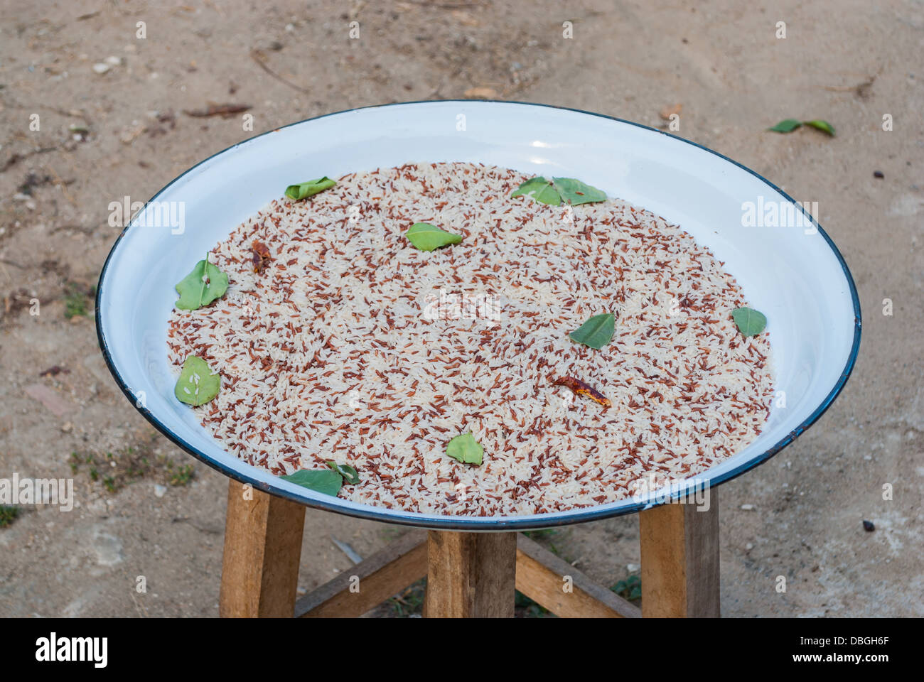 Tray agriculture hi-res stock photography and images - Alamy