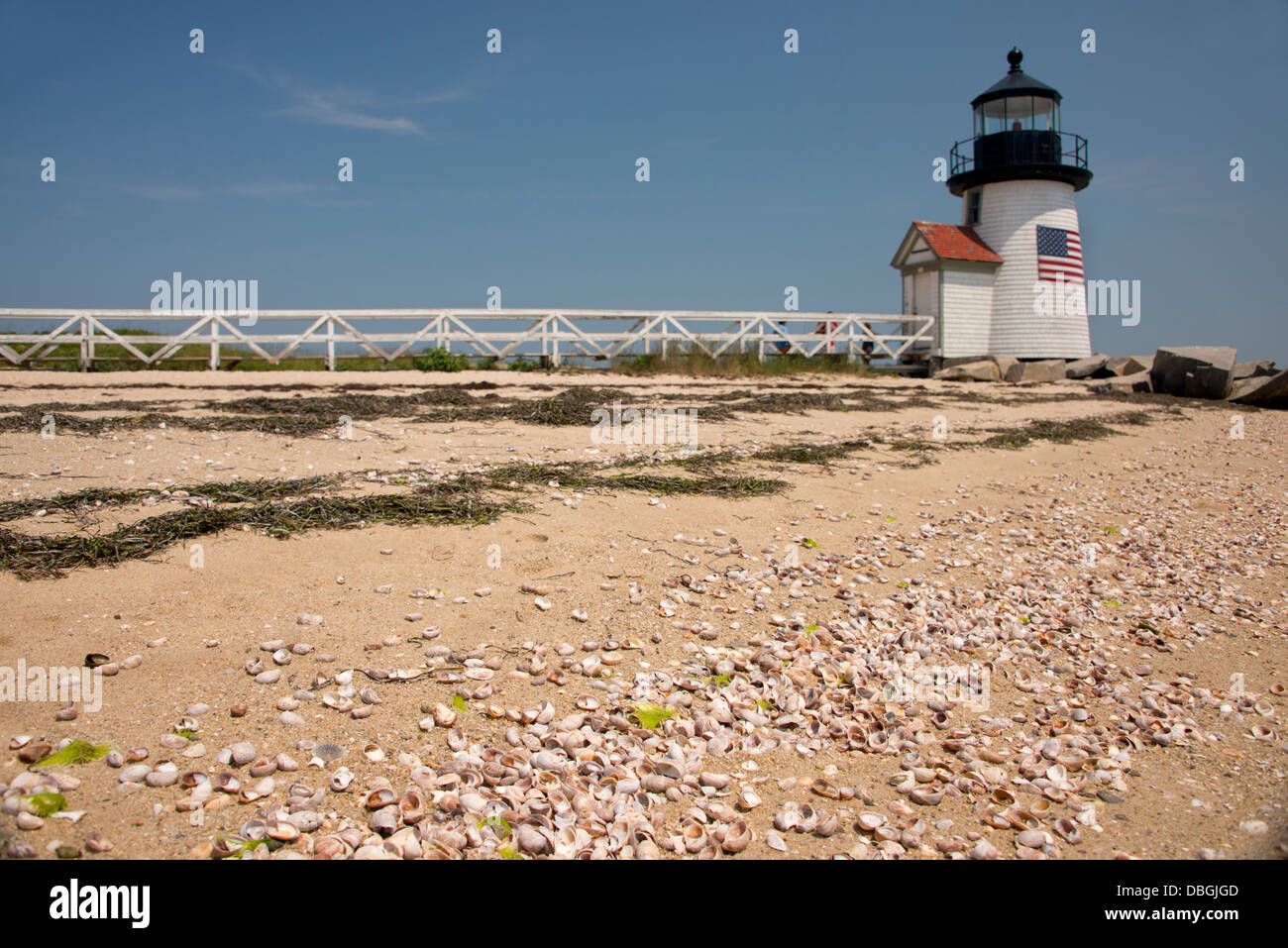 Massachusetts, Nantucket. Shell covered beach in front of Brant Point ...