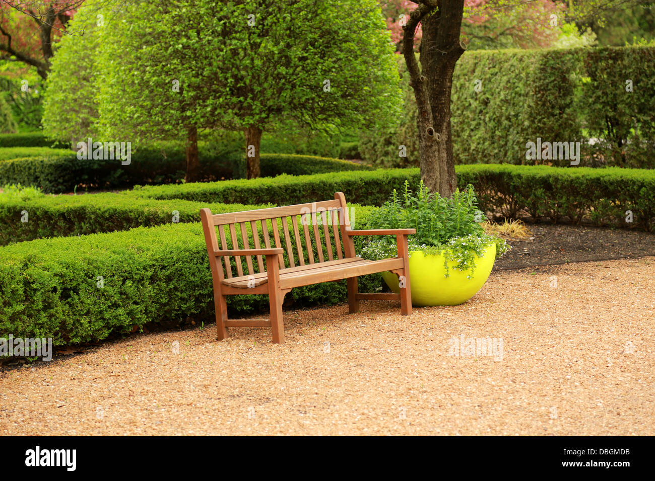 bench on walkway with trees and bushes Stock Photo - Alamy