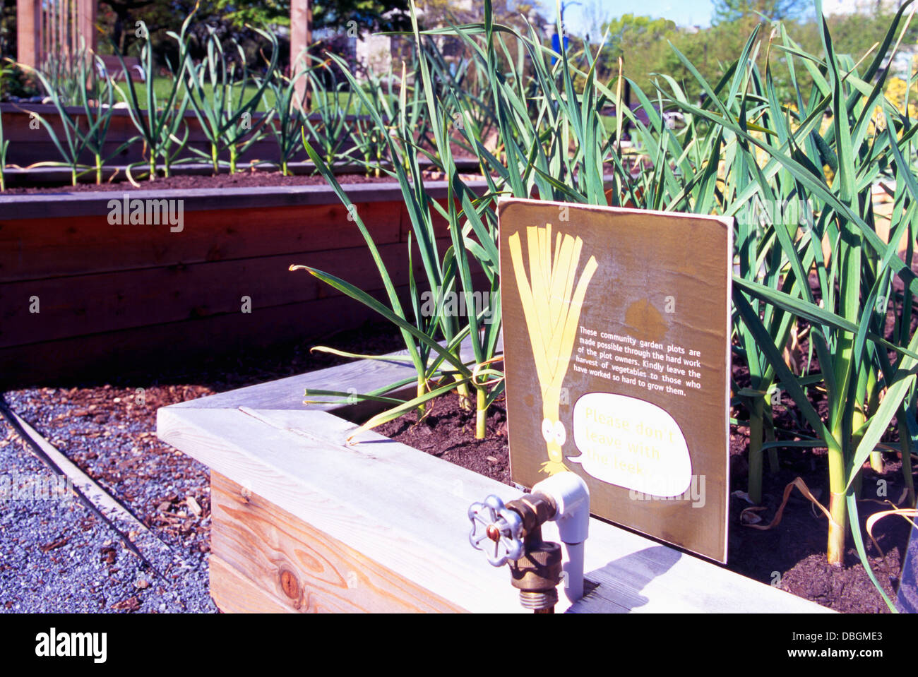 Community Garden, Urban Gardens - Please don't pick Leeks Sign posted ...