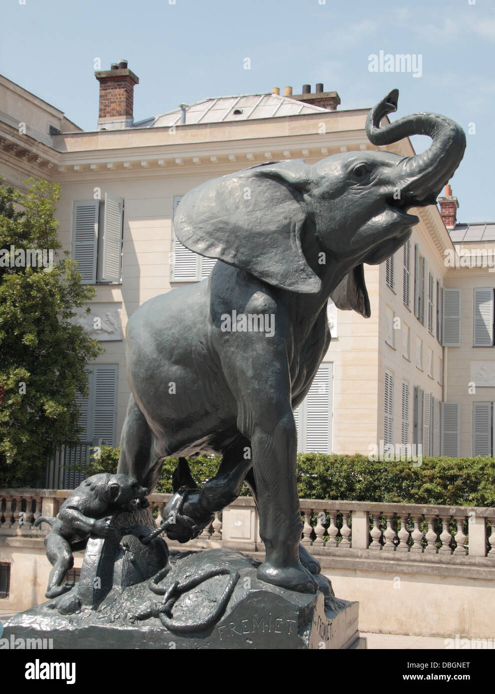 "Jeune éléphant pris au piège (Young elephant taken with a trap) by ...