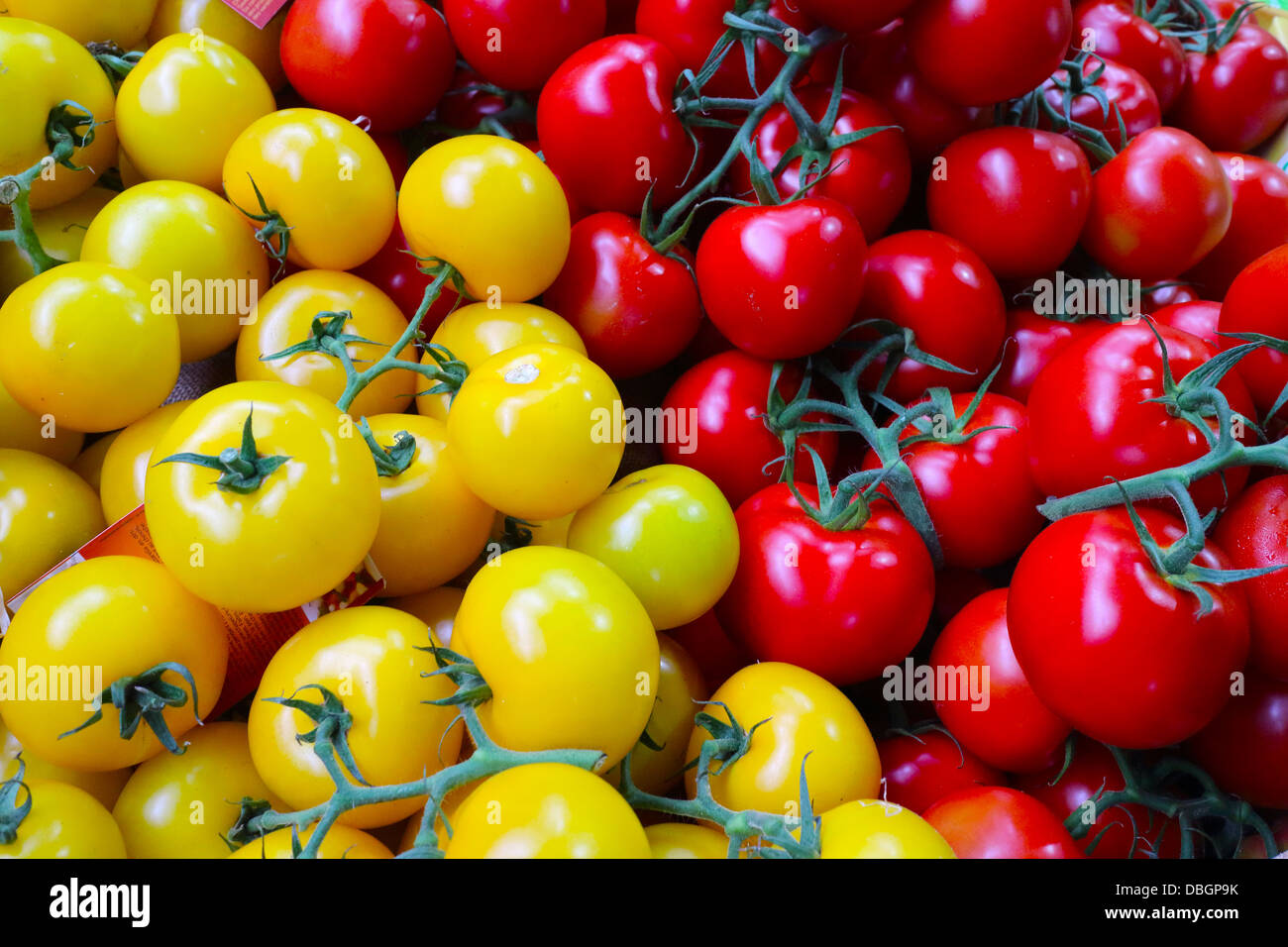 Red and Yellow tomato's Stock Photo - Alamy