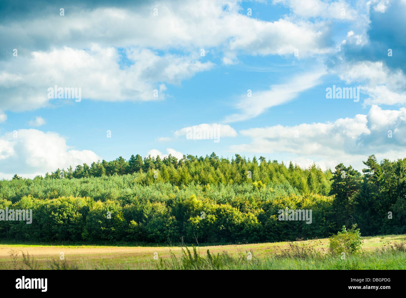 An image of landscape on late summer Stock Photo - Alamy