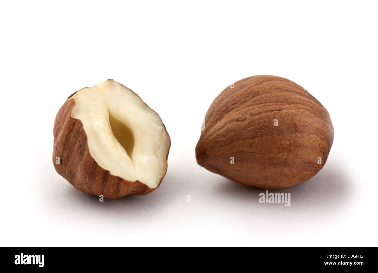 Hazel nut isolated on white background Stock Photo - Alamy