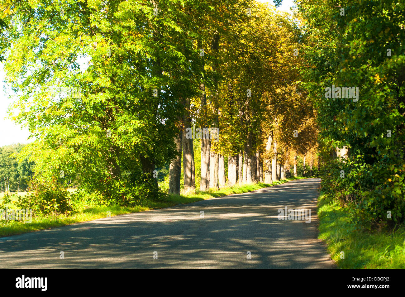 An image of highway road Stock Photo - Alamy