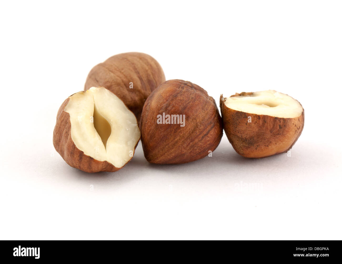 Hazel nut isolated on white background Stock Photo - Alamy