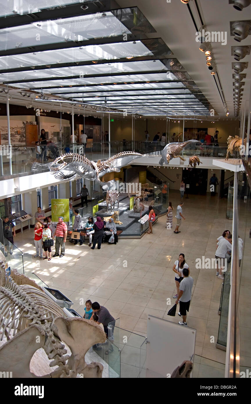 Natural History Museum of Los Angeles County, California Stock Photo ...
