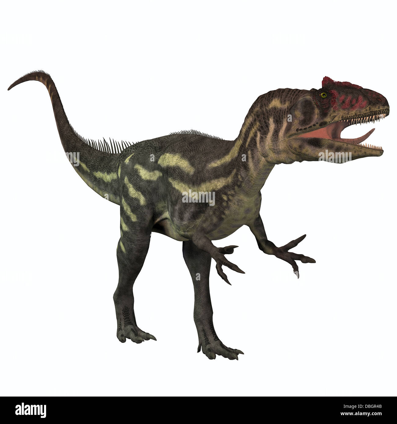 Dinosaurs Allosaurus