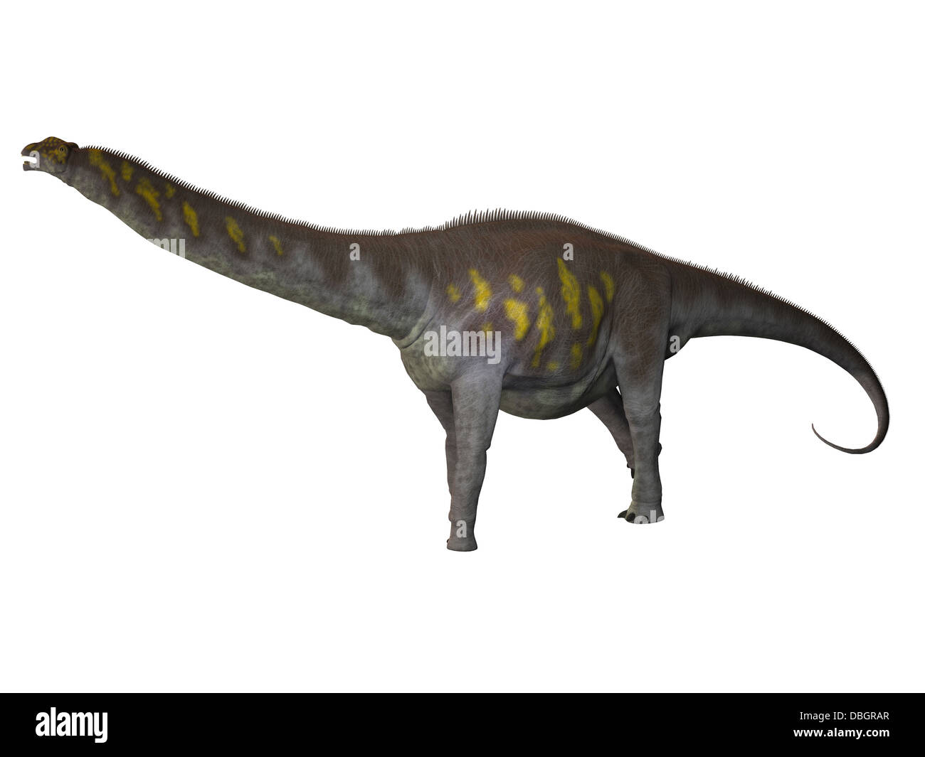 Argentinosaurus hi-res stock photography and images - Alamy